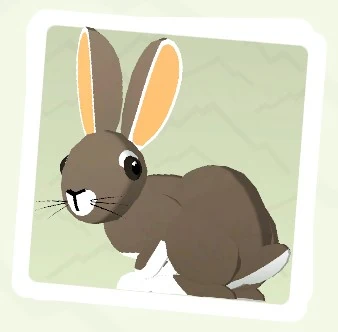 European Rabbit | Alba: A Wildlife Adventure Wiki | Fandom