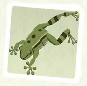 Perezs Frog | Alba: A Wildlife Adventure Wiki | Fandom