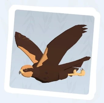 Marsh Harrier | Alba: A Wildlife Adventure Wiki | Fandom