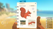 Red Squirrel | Alba: A Wildlife Adventure Wiki | Fandom