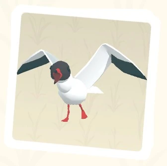 Black-headed Gull | Alba: A Wildlife Adventure Wiki | Fandom