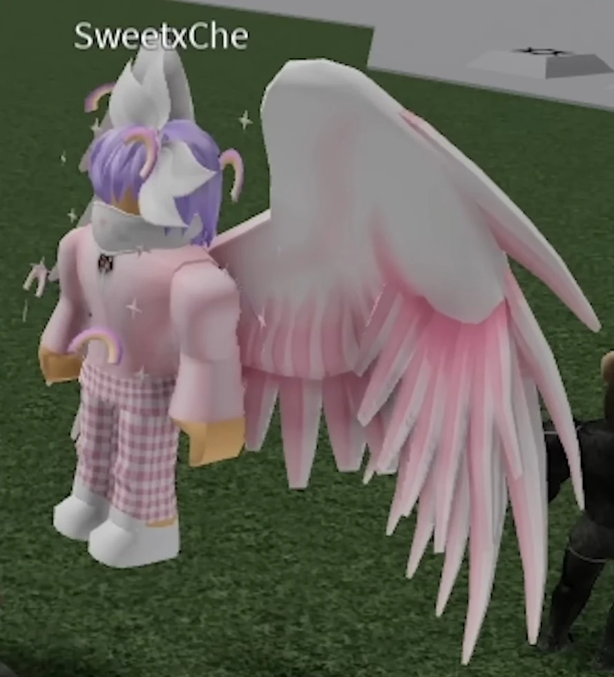 SweetxChe | Albertsstuff Wiki | Fandom