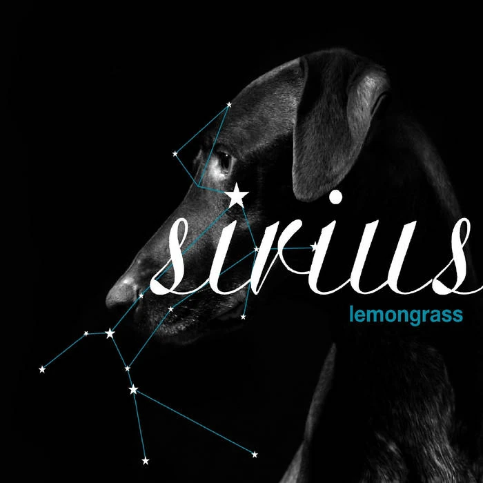 Sirius | Album Wiki | Fandom