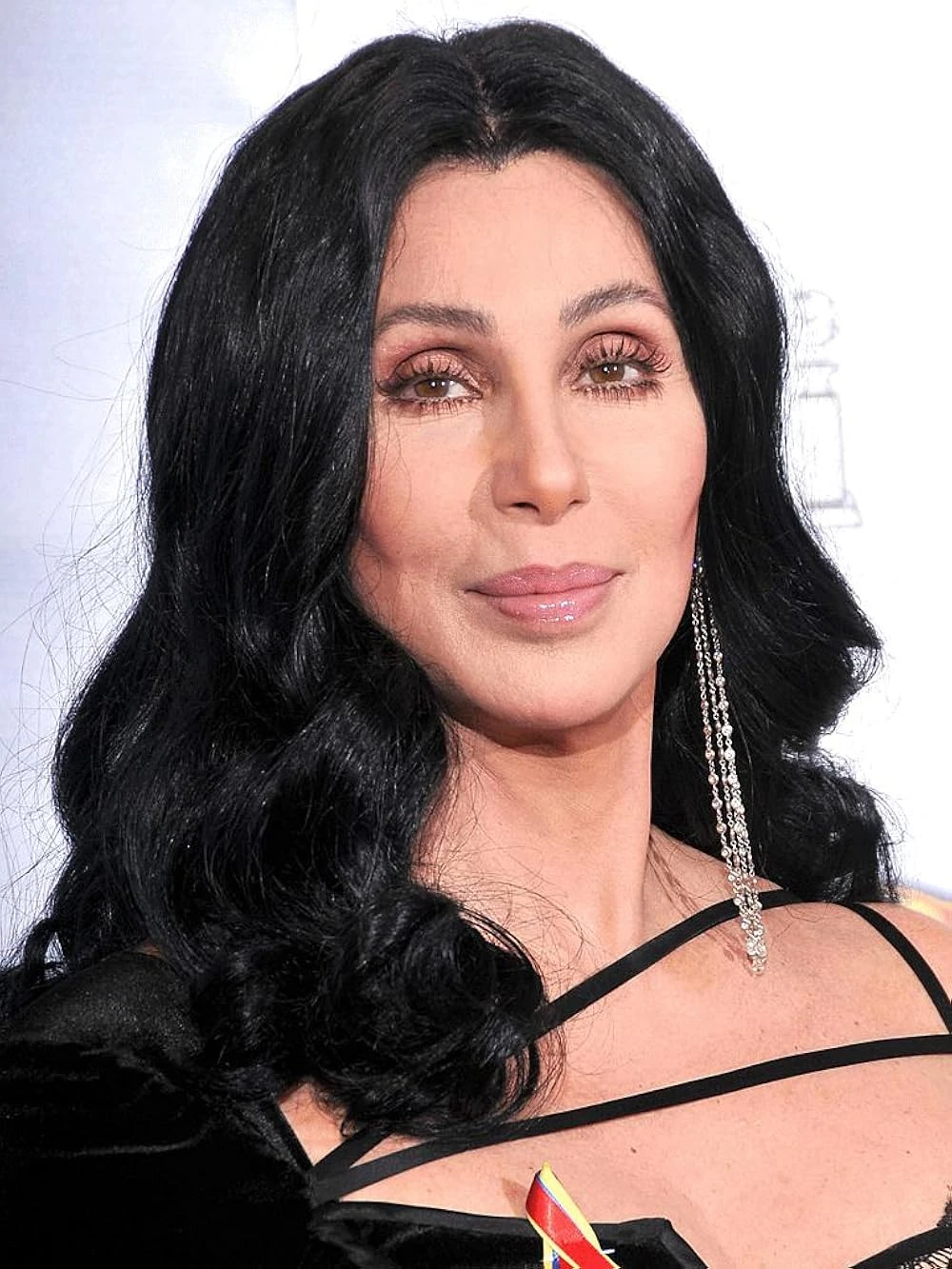 Cher | Album Wiki | Fandom