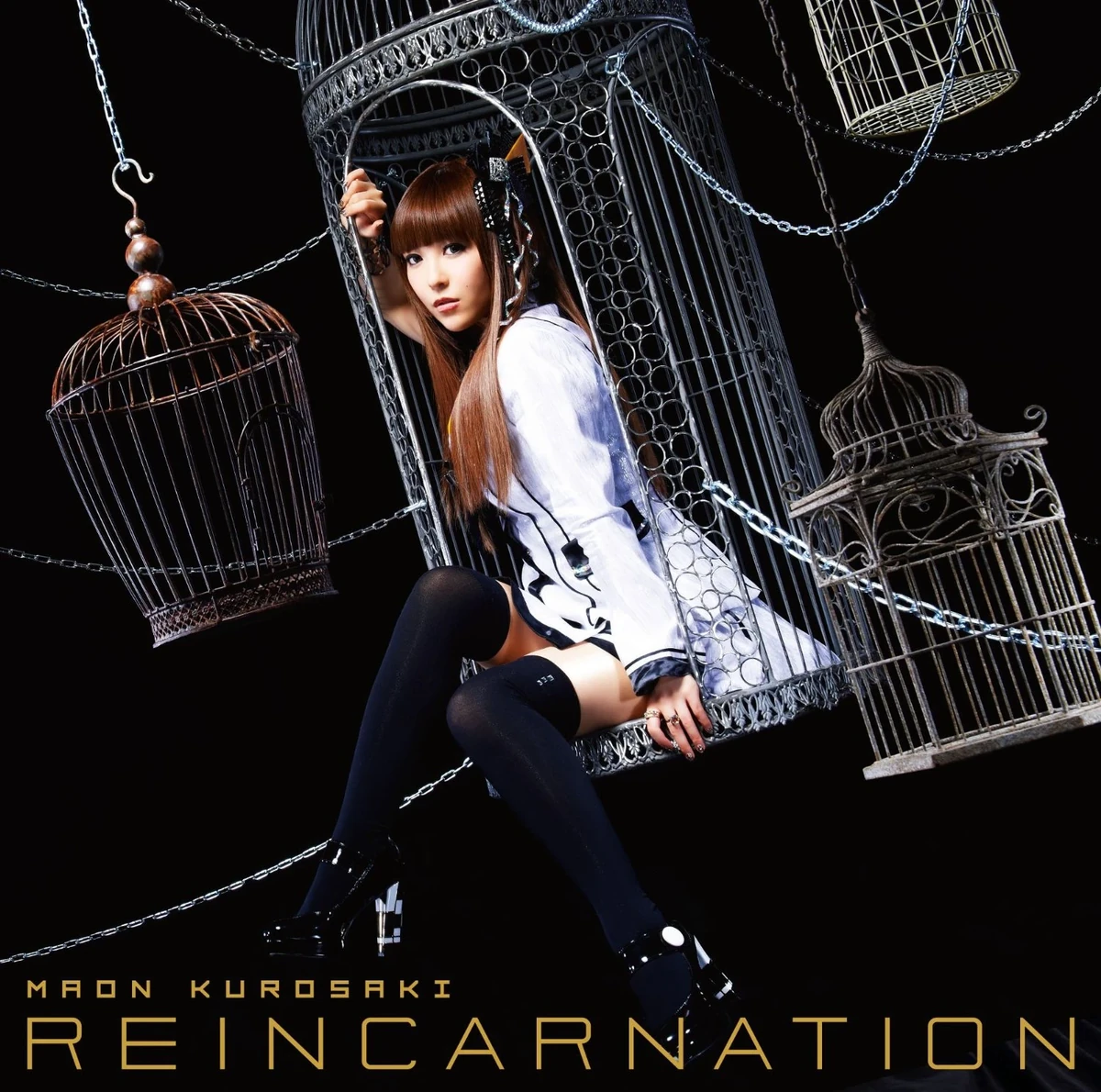 REINCARNATION | Album Wiki | Fandom