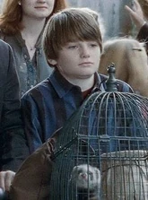 Albus Severus Potter | The Albus Potter Series Wiki | Fandom