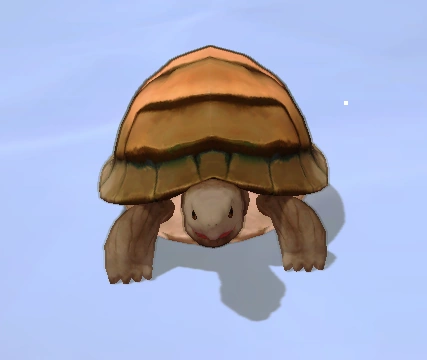 Tortoise | Alchemy Potion Monger Wiki | Fandom