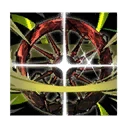 Pact's Gallery | Alchemy Stars Wiki | Fandom