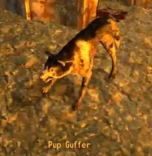 Pup Guffer | AlChestBreach Wiki | Fandom