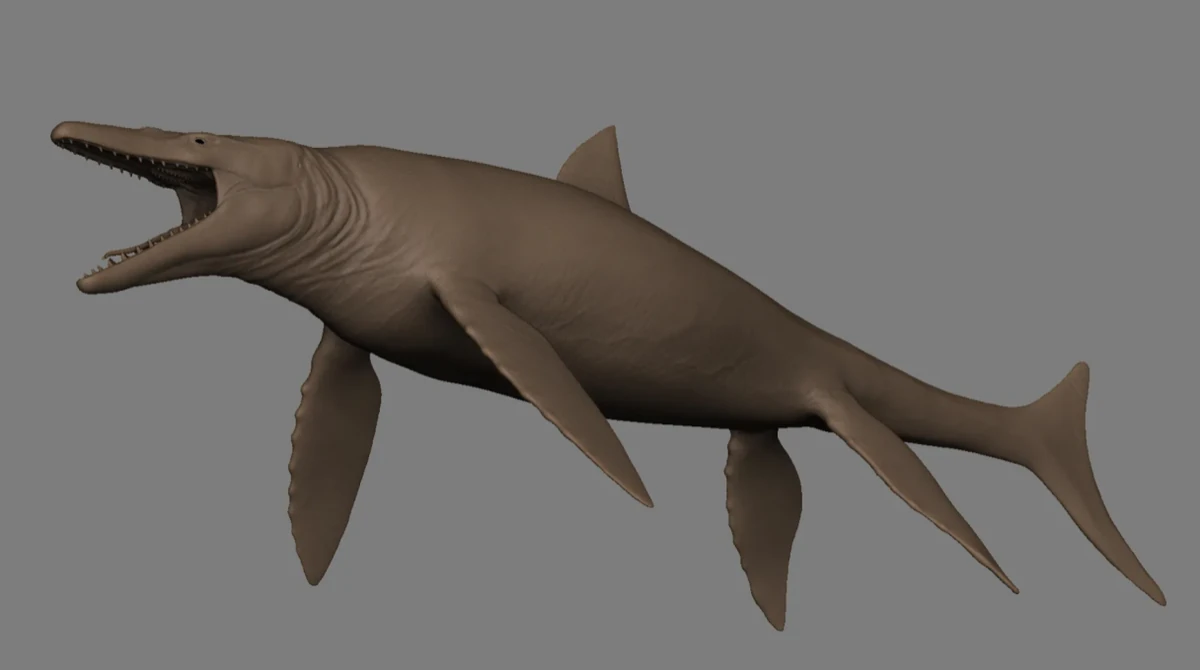 Megapterygius | Aldian of ancients Wiki | Fandom