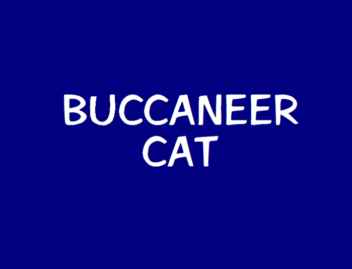 Buccaneer Cat Catnip Cat Aldo Boomer Wiki Fandom