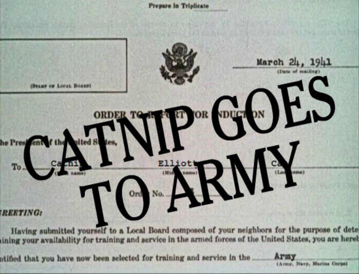 Catnip Goes To Army Catnip Cat Aldo Boomer Wiki Fandom