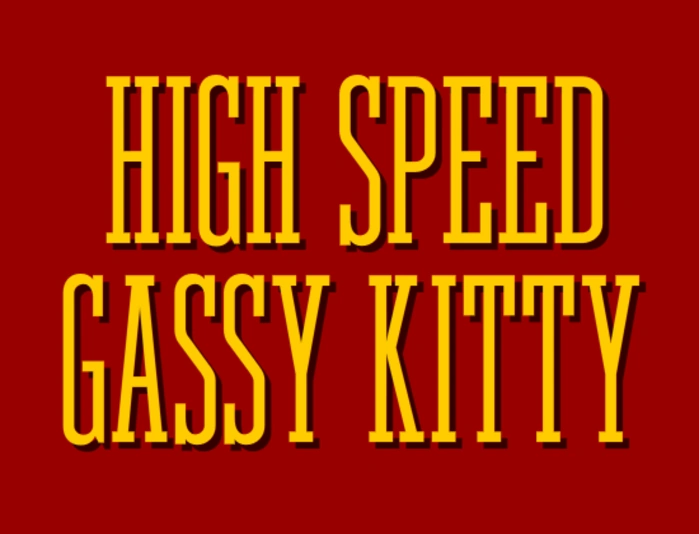 High Speed Gassy Kitty (Fiona Cat) | Aldo Boomer Wiki | Fandom