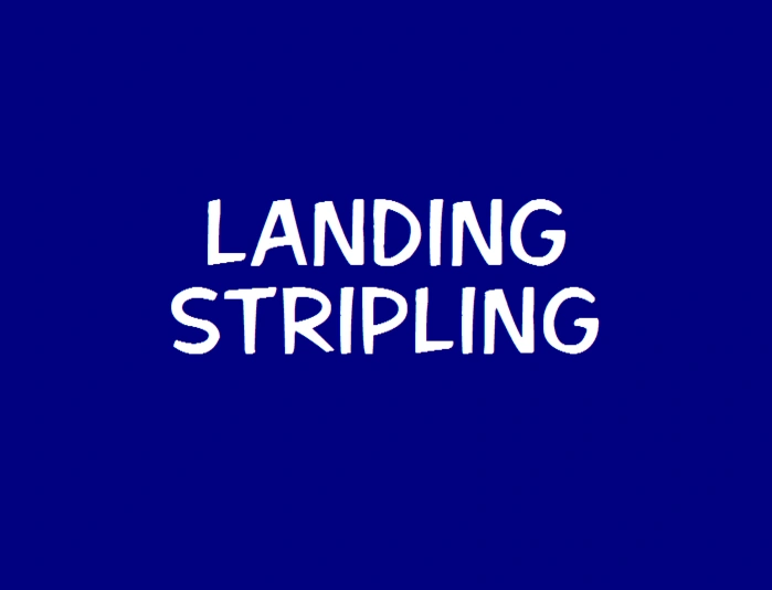 Landing Stripling (Mouse & Rat) | Aldo Boomer Wiki | Fandom