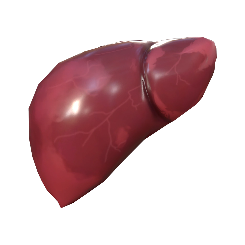 Bear liver | Ale and Tale Tavern Wiki | Fandom