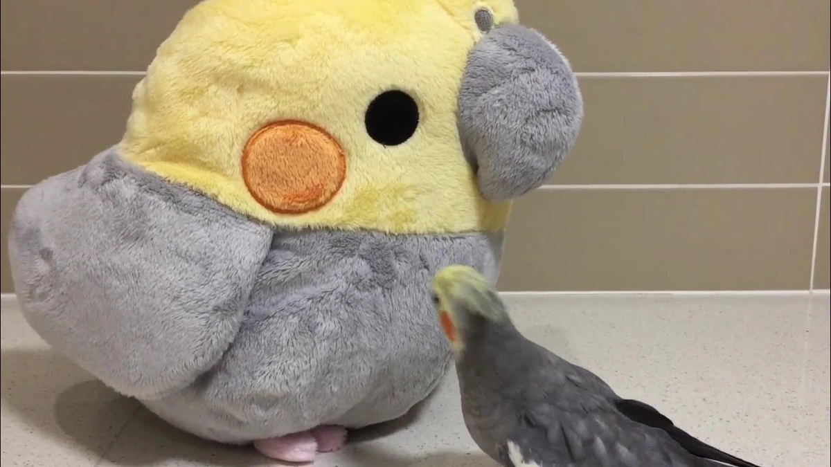 Very Large Friend | Alex the Honking Bird Wiki | Fandom
