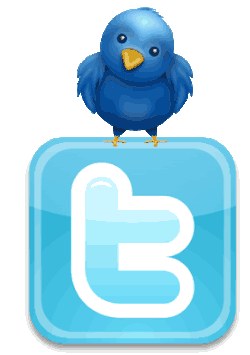 Twitter Logo Transparent Background Gif