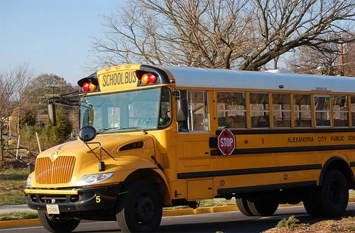 Buses 1-100 | Alexandria School Buses Wiki | Fandom