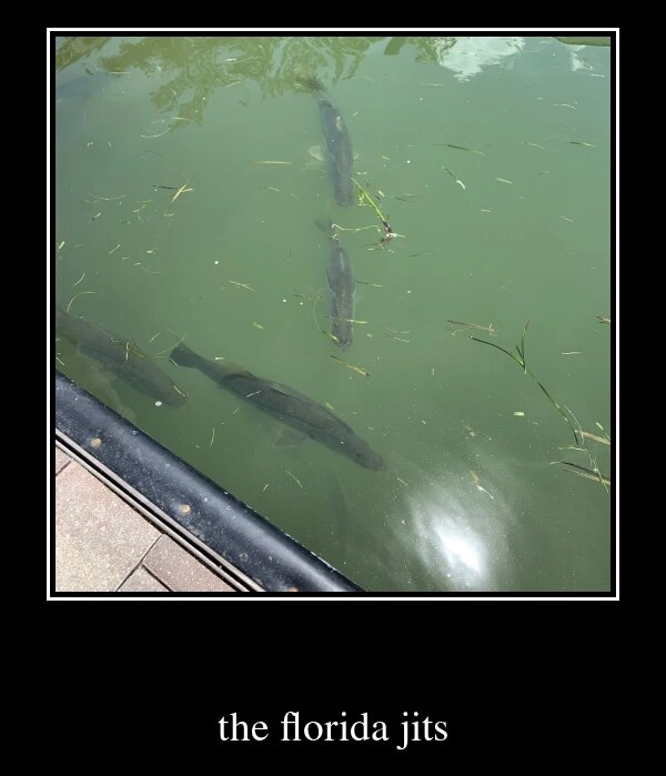 The florida jits | Alexbot Wiki | Fandom