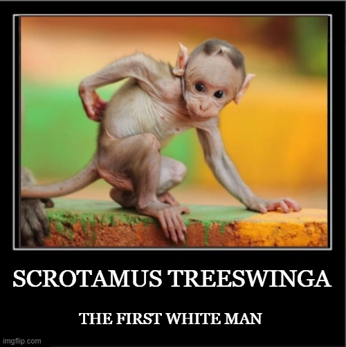 Scrotamus treeswinga | Alexbot Wiki | Fandom