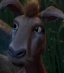 Duke (The Wild) | AlexCWebb Studios Wiki | Fandom