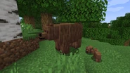 Grizzly Bear | Alex's Mobs Unofficial Wiki | Fandom