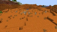Kangaroo | Alex's Mobs Unofficial Wiki | Fandom