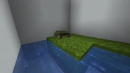Terrapin | Alex's Mobs Unofficial Wiki | Fandom