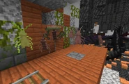 Cockroach | Alex's Mobs Unofficial Wiki | Fandom