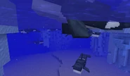 Orca | Alex's Mobs Unofficial Wiki | Fandom