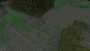 Crocodile | Alex's Mobs Unofficial Wiki | Fandom
