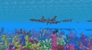 Hammerhead Shark | Alex's Mobs Unofficial Wiki | Fandom