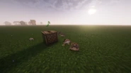 Rain Frog | Alex's Mobs Unofficial Wiki | Fandom
