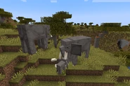 Elephant | Alex's Mobs Unofficial Wiki | Fandom