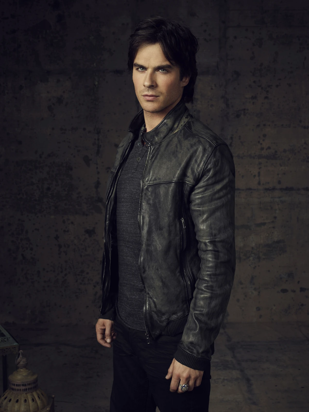 Damon Salvatore | Alex's The Vampire Diaries Fanfiction Wiki | Fandom