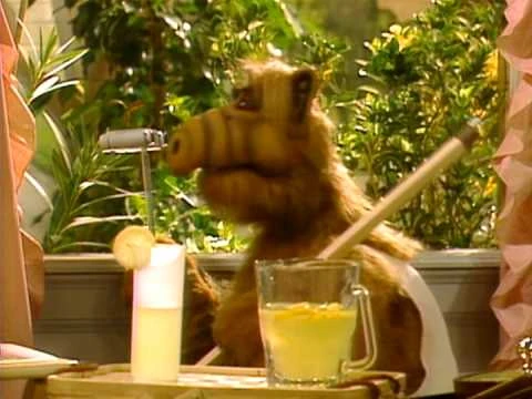 Lookin' Through the Windows | ALF Wiki | Fandom