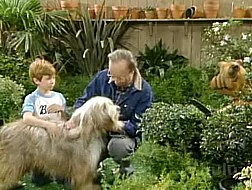 You Ain't Nothing But a Hound Dog | ALF Wiki | Fandom