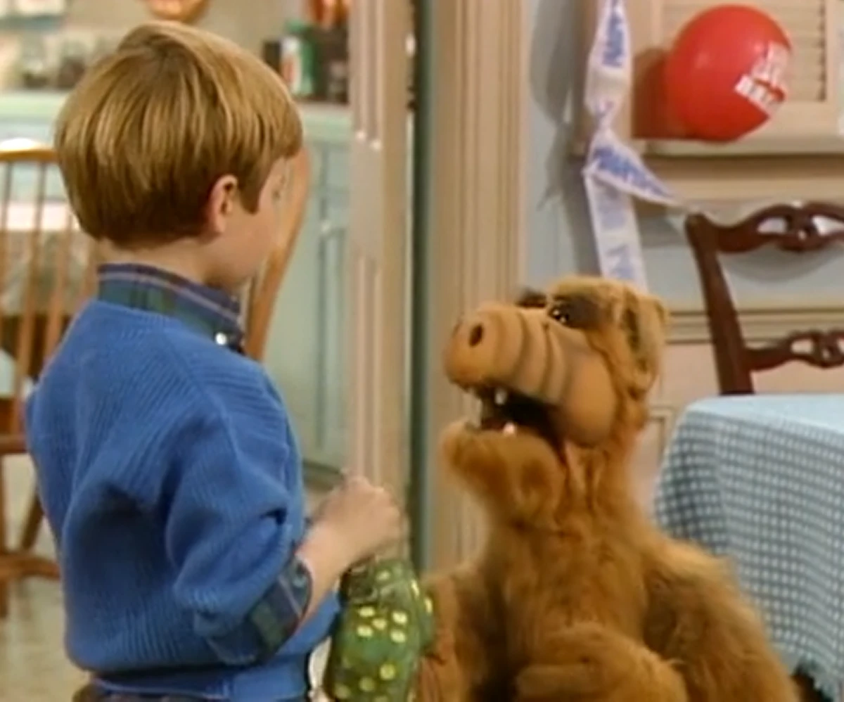 Melmacian Dice | ALF Wiki | Fandom