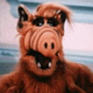 ALF | Wikia ALF | Fandom