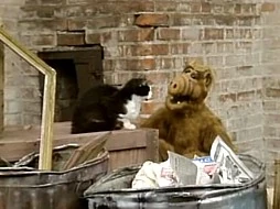 Looking for Lucky | ALF Wiki | Fandom