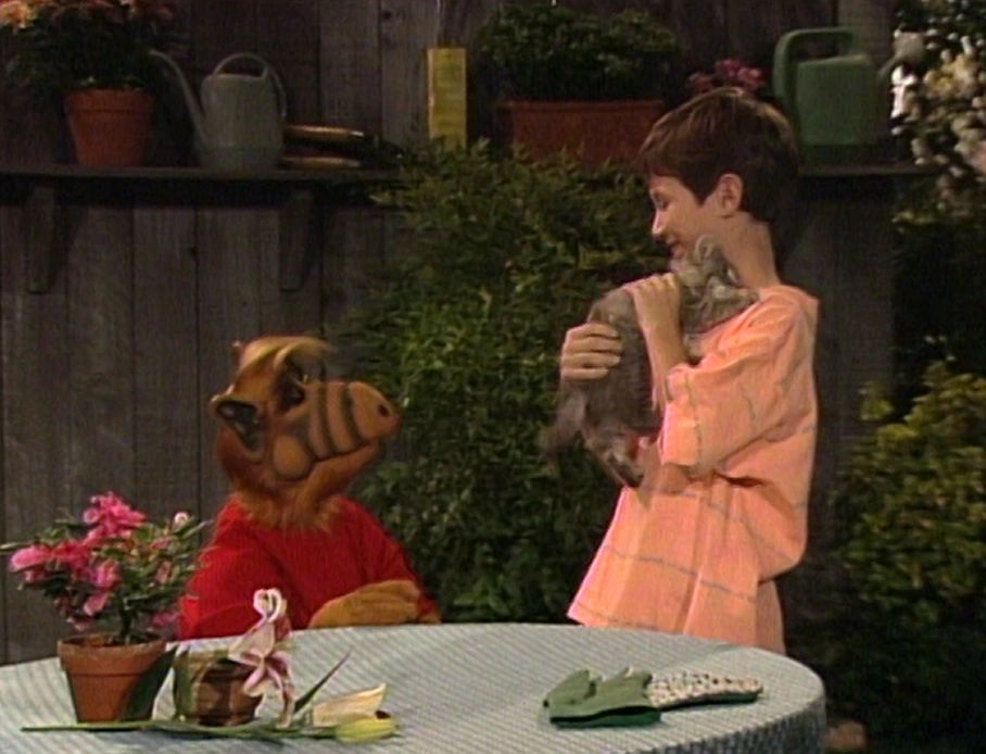 Lucky II | ALF Wiki | Fandom