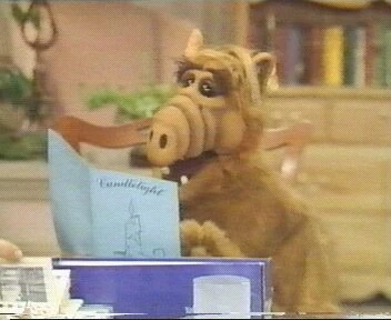 Candlelight Restaurant | ALF Wiki | Fandom