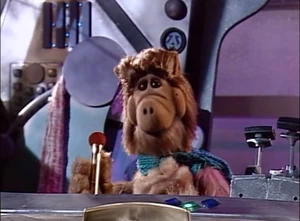 Rhonda | ALF Wiki | Fandom