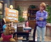 Kate Tanner | ALF Wiki | Fandom