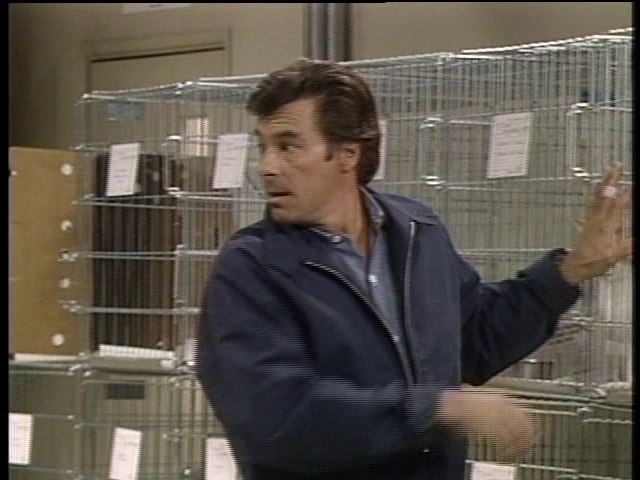 Extremities | ALF Wiki | Fandom