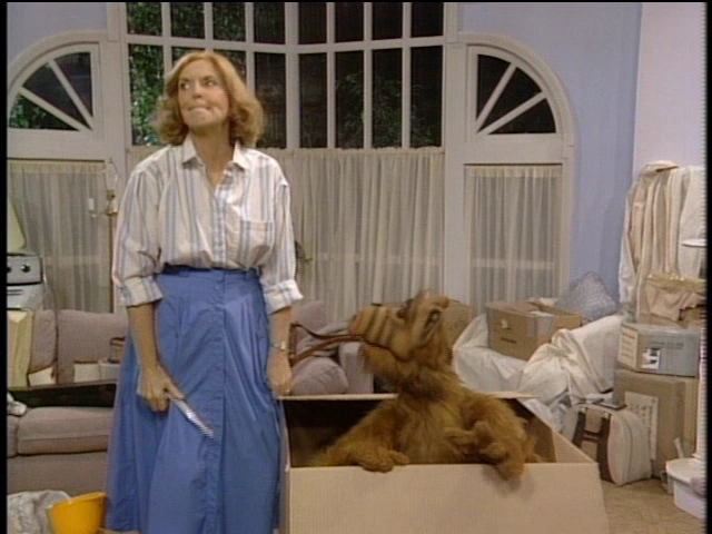 Jackrabbit Delivery | ALF Wiki | Fandom