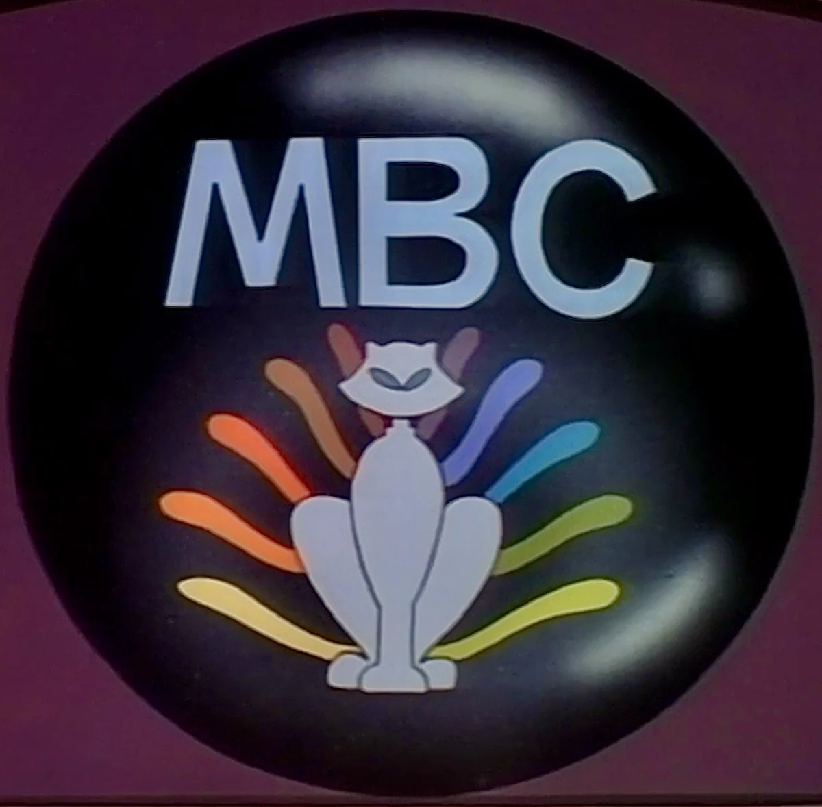 Melmac Broadcasting Company | ALF Wiki | Fandom