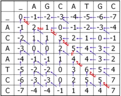 Edit Distance | Algorithms and Data Structures Wiki | Fandom