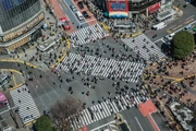 Shibuya Crossing | Alice in Borderland Wiki | Fandom