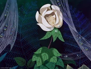 The Flowers | Alice in Wonderland Wiki | Fandom